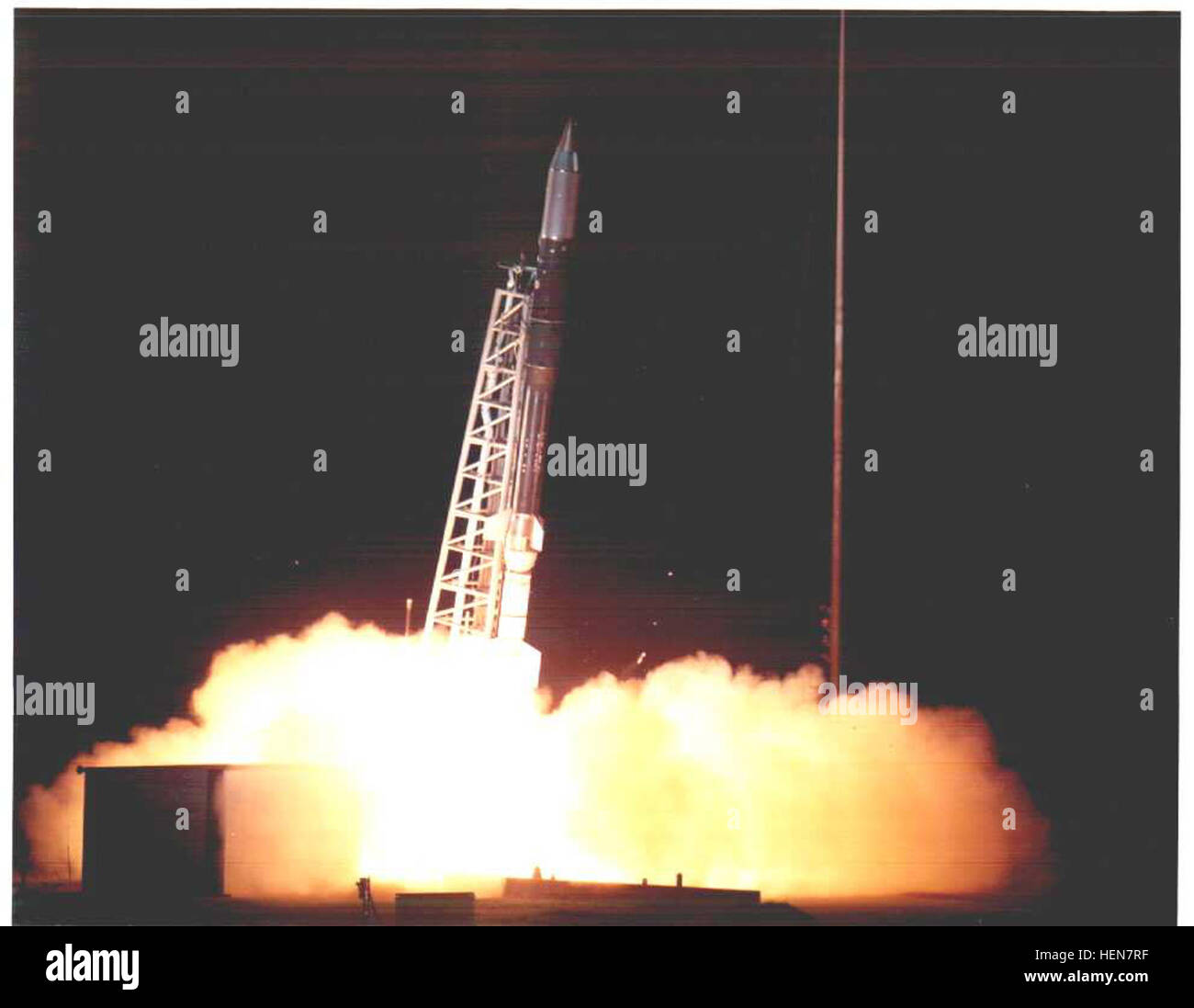 Starbird High Resolution Stock Photography and Images - Alamy