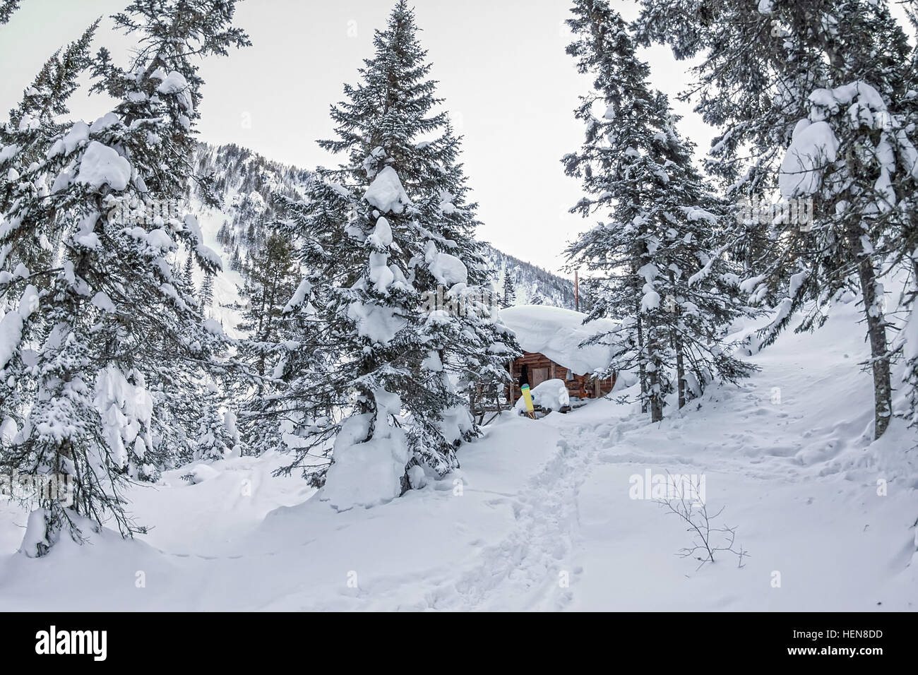 Chalet snowboard year hi-res stock photography and images - Alamy