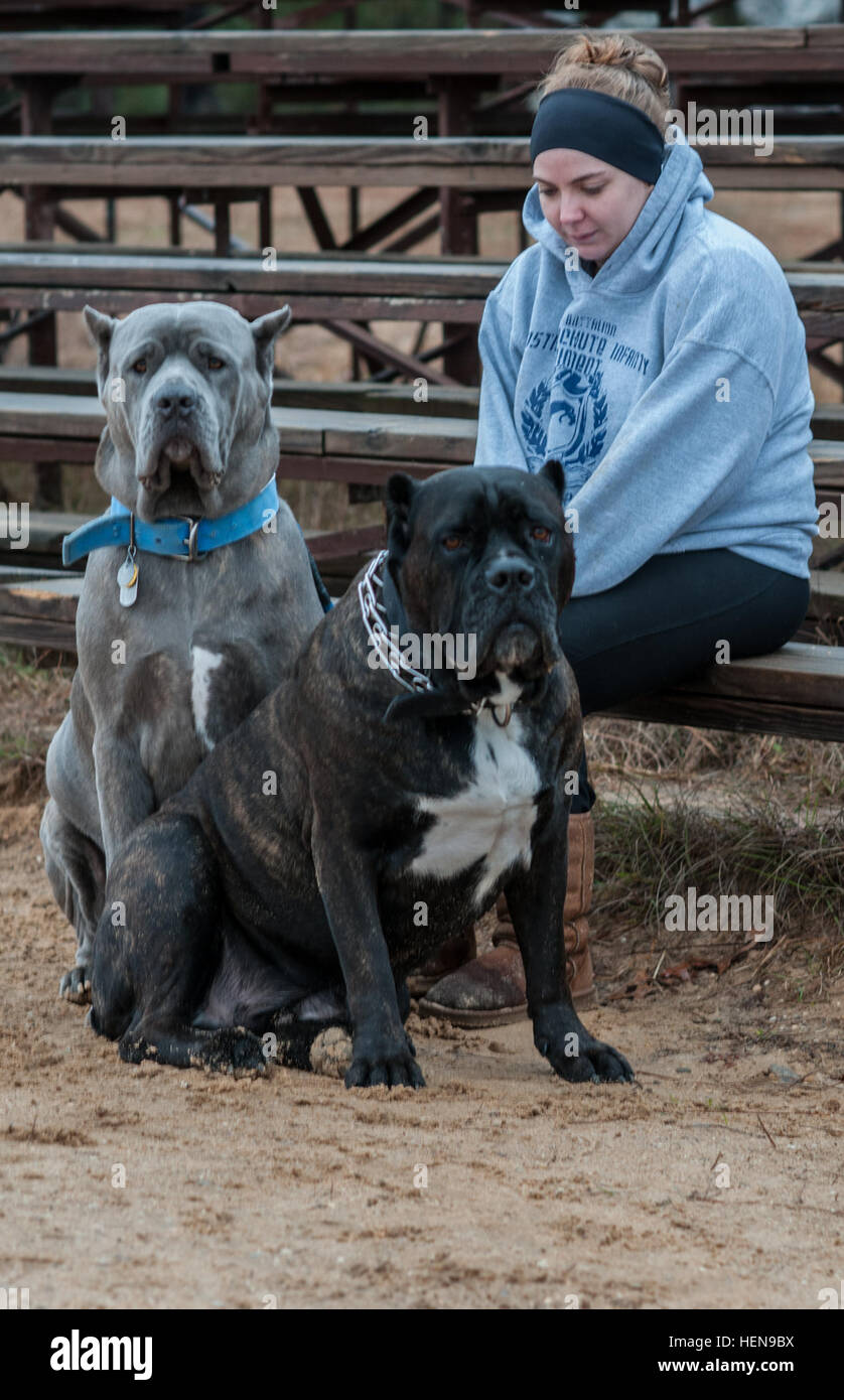 Parachute rigg hi-res stock photography and images - Alamy