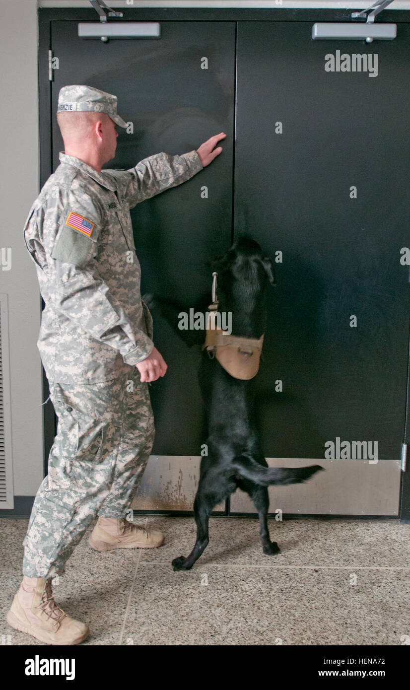 (U.S. Army photo by Sgt. Samuel Northrup, 7th Mobile Public Affairs ...