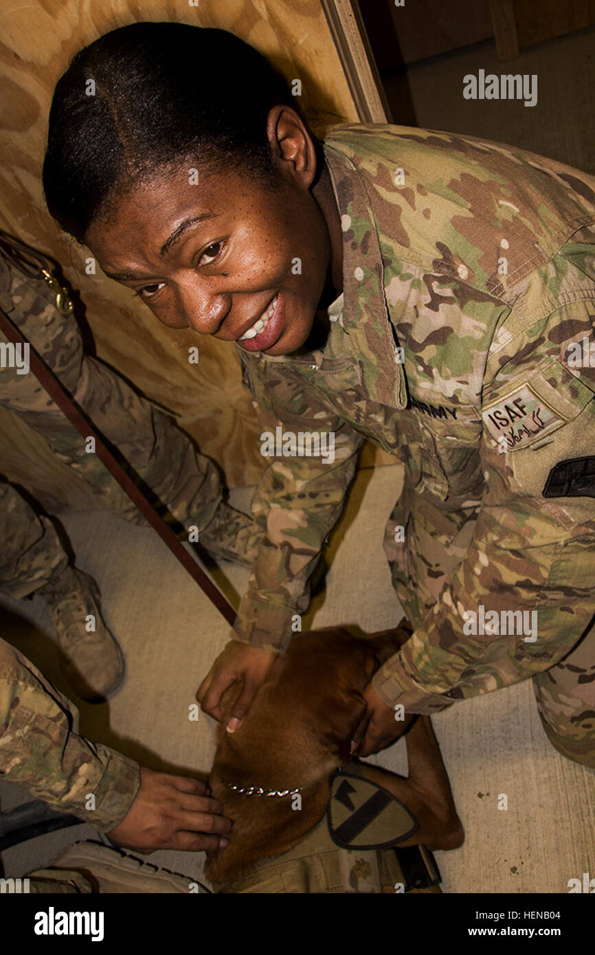 Chief Warrant Officer 2, Cyntranelle Brown, 365th Engineer Battalion ...