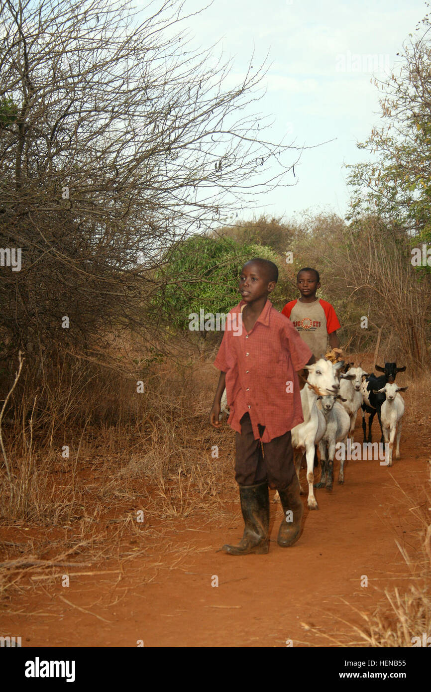 Young goat herders arrive at the Manda 'cattle crush' for a veterinary ...
