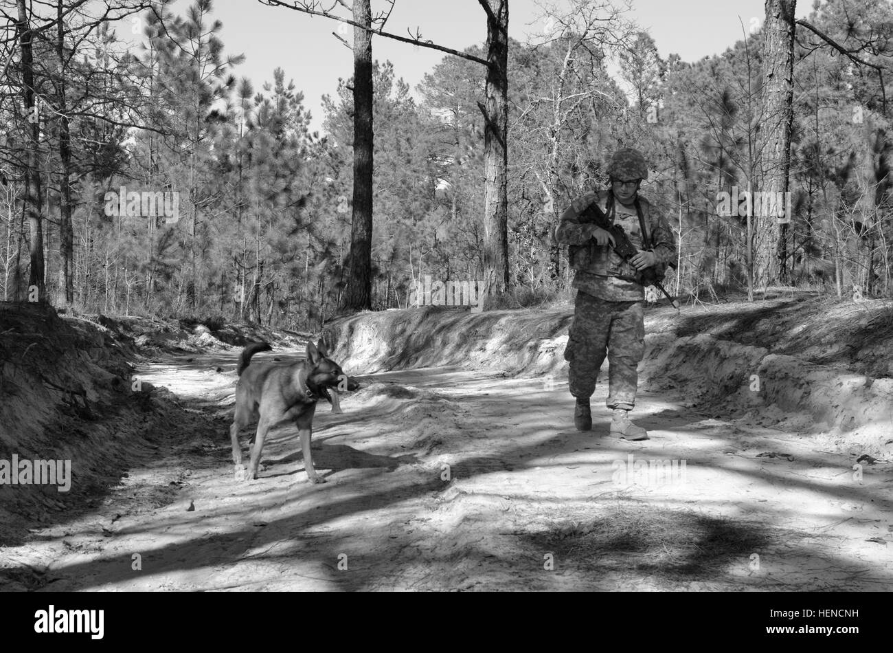 U s army military dog Black and White Stock Photos & Images - Alamy