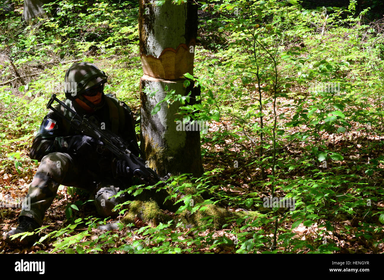 A French soldier from the 126th Infantry Regiment, 3rd Mechanized ...