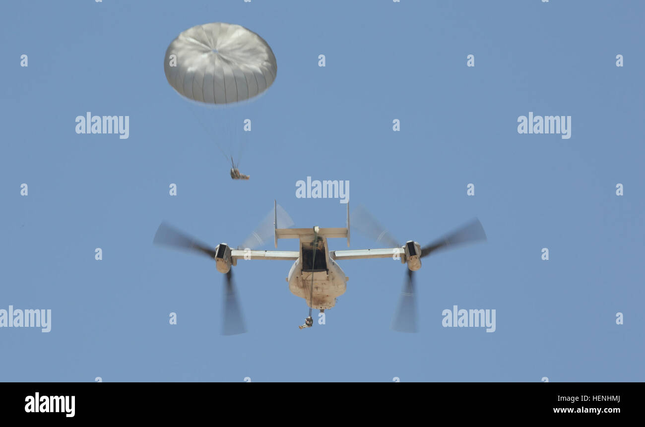 U.S. Army Soldiers from the Tarantula Team in Operations Group at the ...