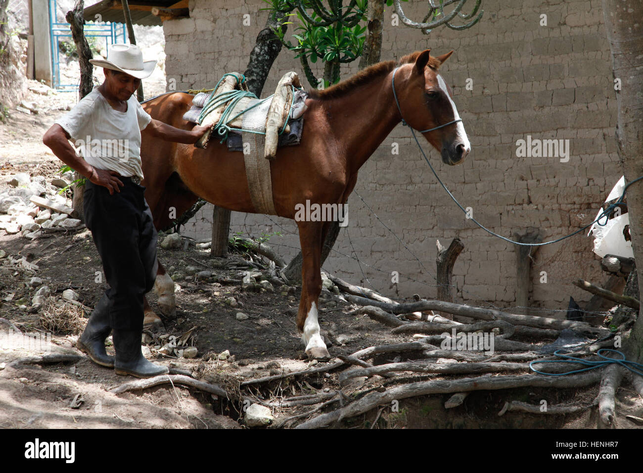 Herman Chavez Luis, a Guatemalan citizen, brings his horse for ...