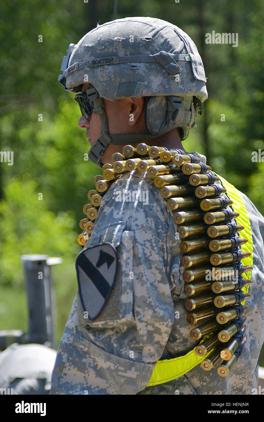 A U.S. Soldier with 2nd Battalion 5th Cavalry, 1st Brigade Combat Team ...