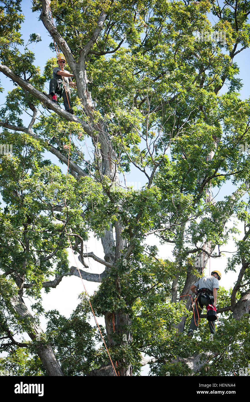 Jesse pollock hi-res stock photography and images - Alamy