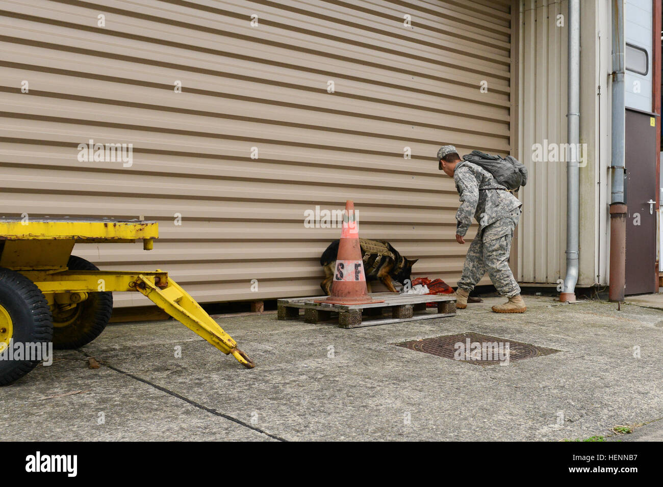 525th military working dog detachment hi-res stock photography and ...