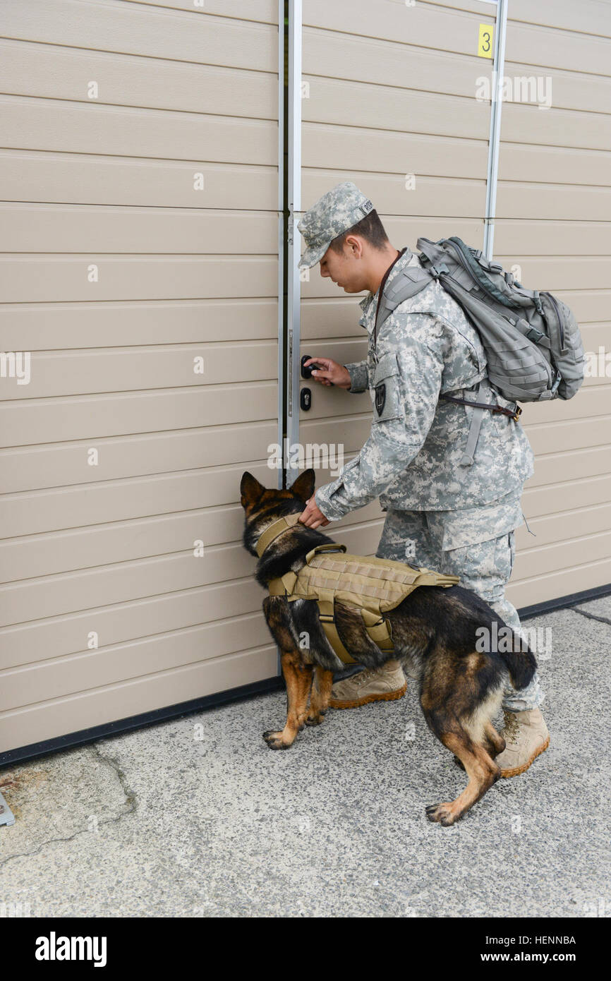 525th military police working dog detachment hi-res stock photography ...