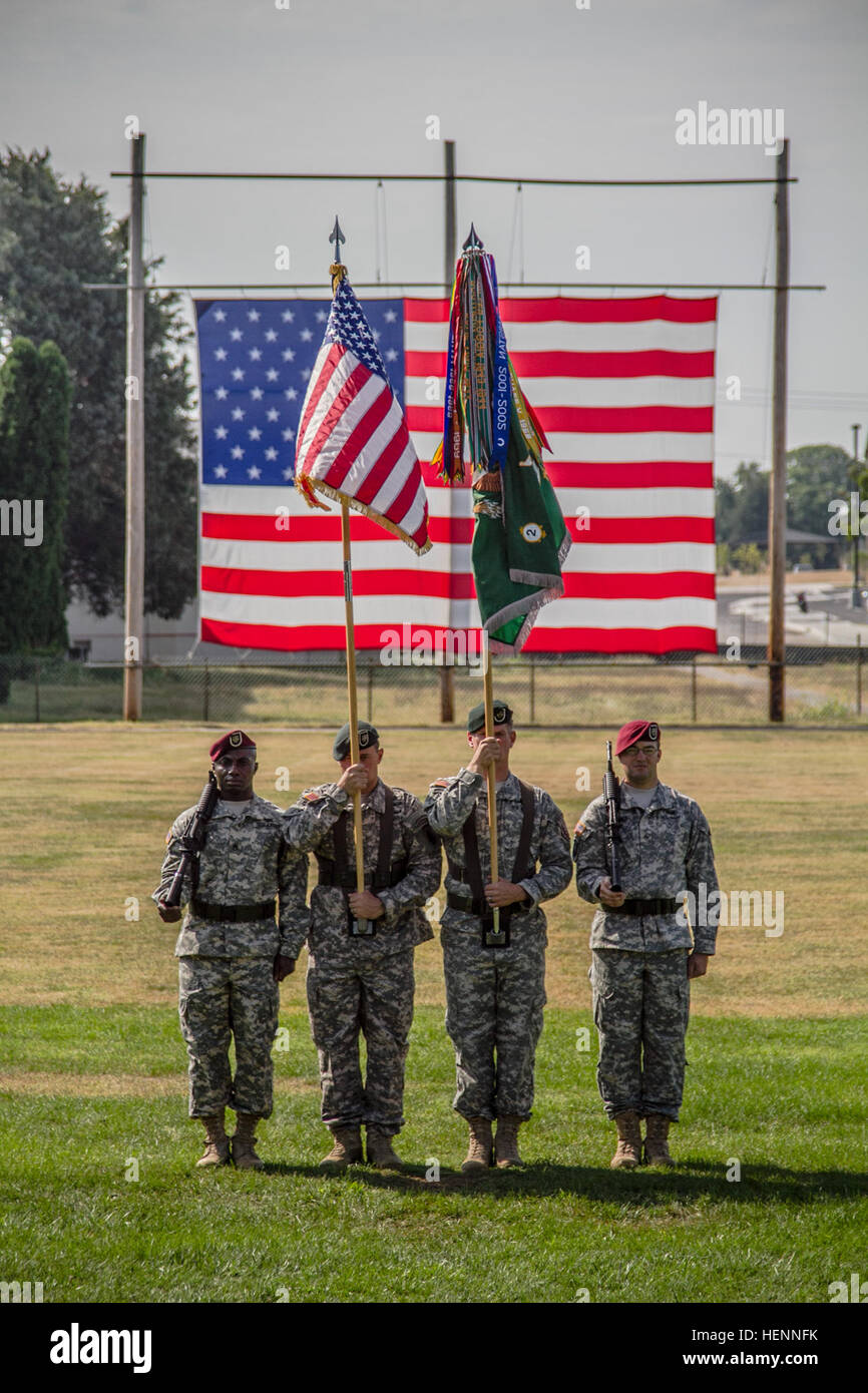 The 2nd Battalion, 5th Special Forces Group (Airborne), guidon Stock ...