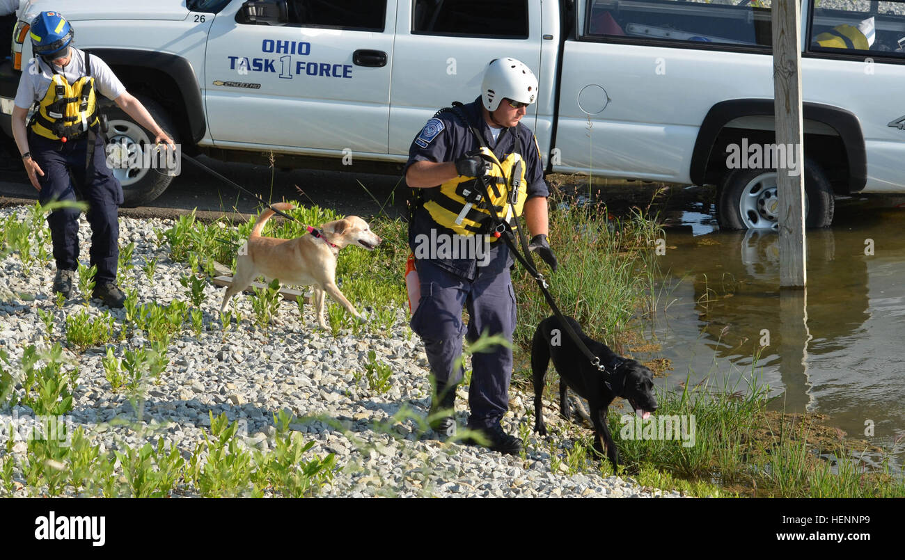 A team of water rescuers and their search and rescue canines of Task ...