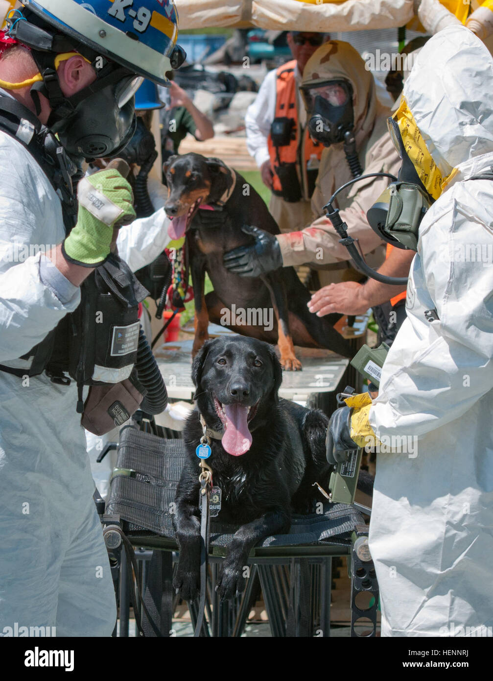 What seems like a bath for Cirque, a service dog for the Ohio Task ...