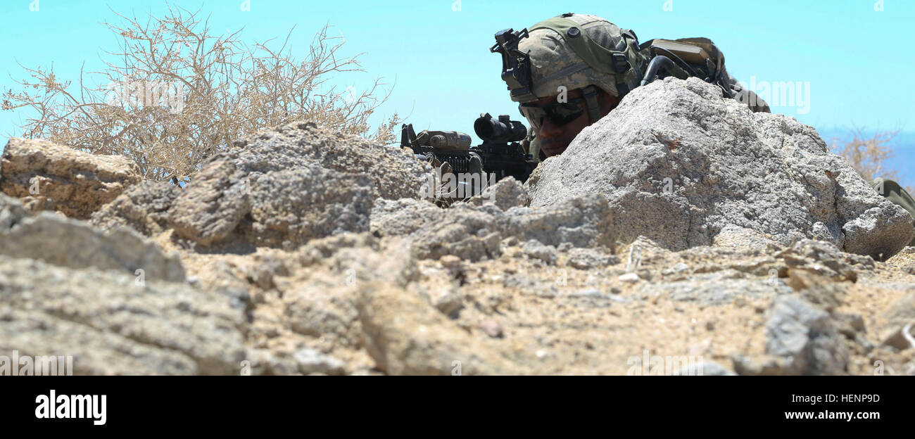 A U.S. Army Soldier from Delta Company, 5th Squadron, 7th Cavalry Regiment, 1st Armored Brigade ...
