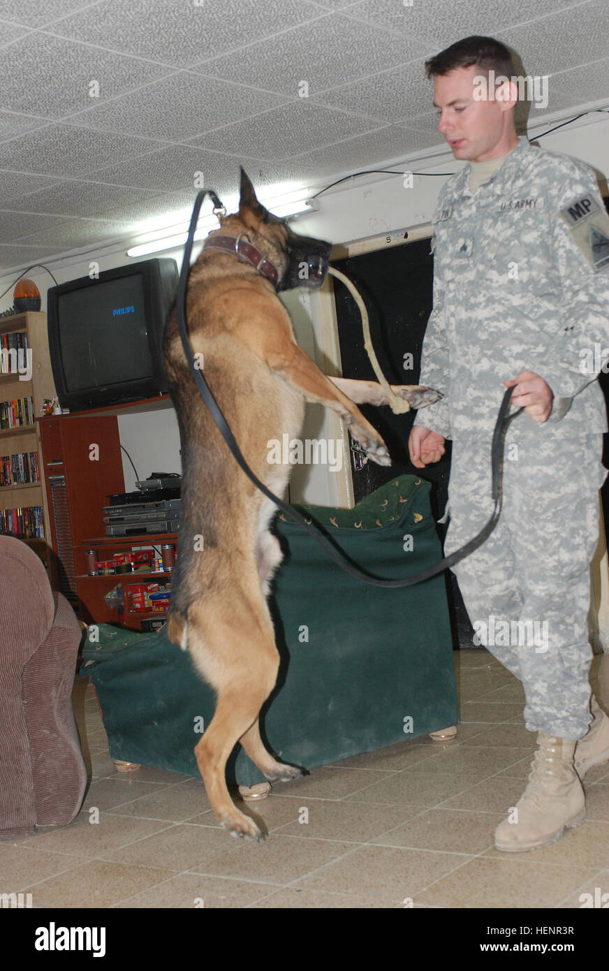 1st military working dog regiment hi-res stock photography and images ...
