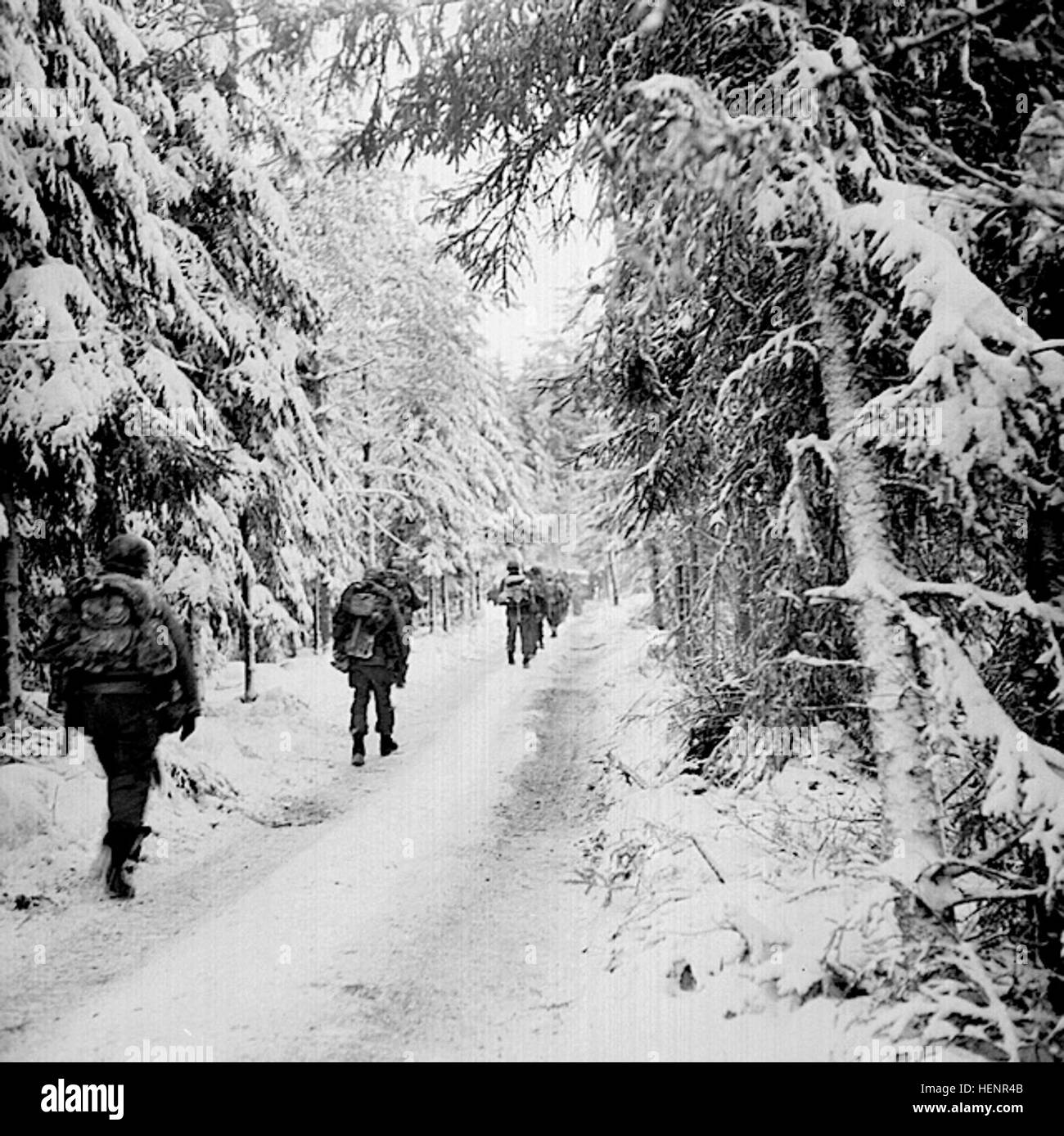 517th PRCT in the Hurtgen Forest Stock Photo - Alamy