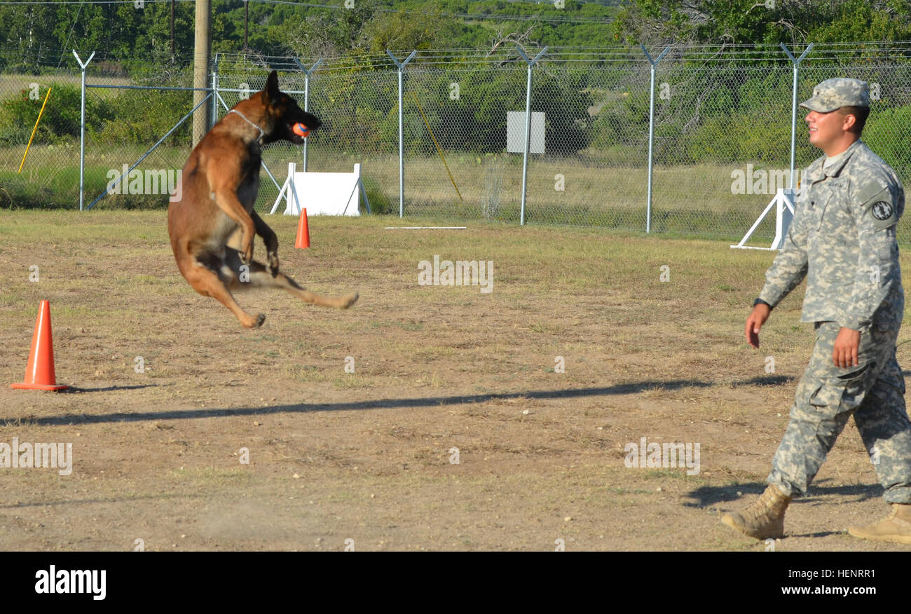 Spc. Cory Rodriquez, a military police dog handler assigned to the 89th ...