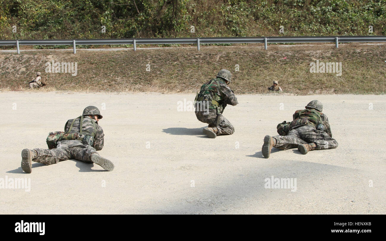 Republic of Korea Marines with 3rd Platoon, 9th Company, 83rd Battalion ...