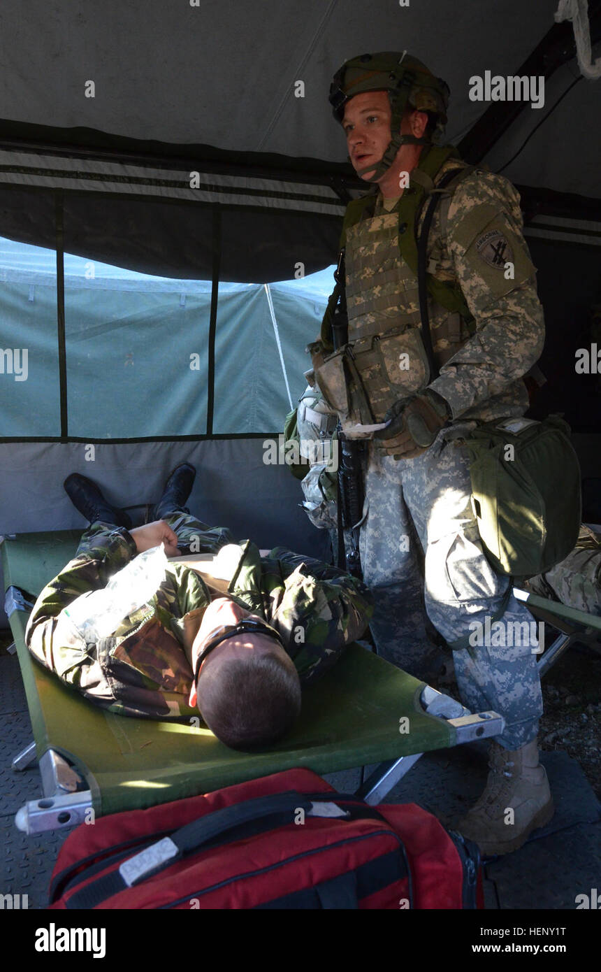 A U.S. Soldier of Bravo Company, 2nd Battalion, 12th Cavalry Regiment ...