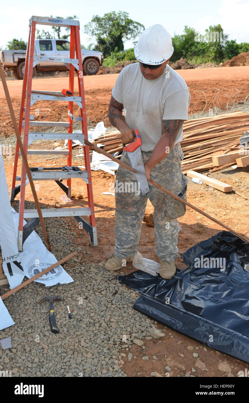 Sgt. Miguel Jaquez, a native of Queens, N.Y., of 902nd Engineer ...