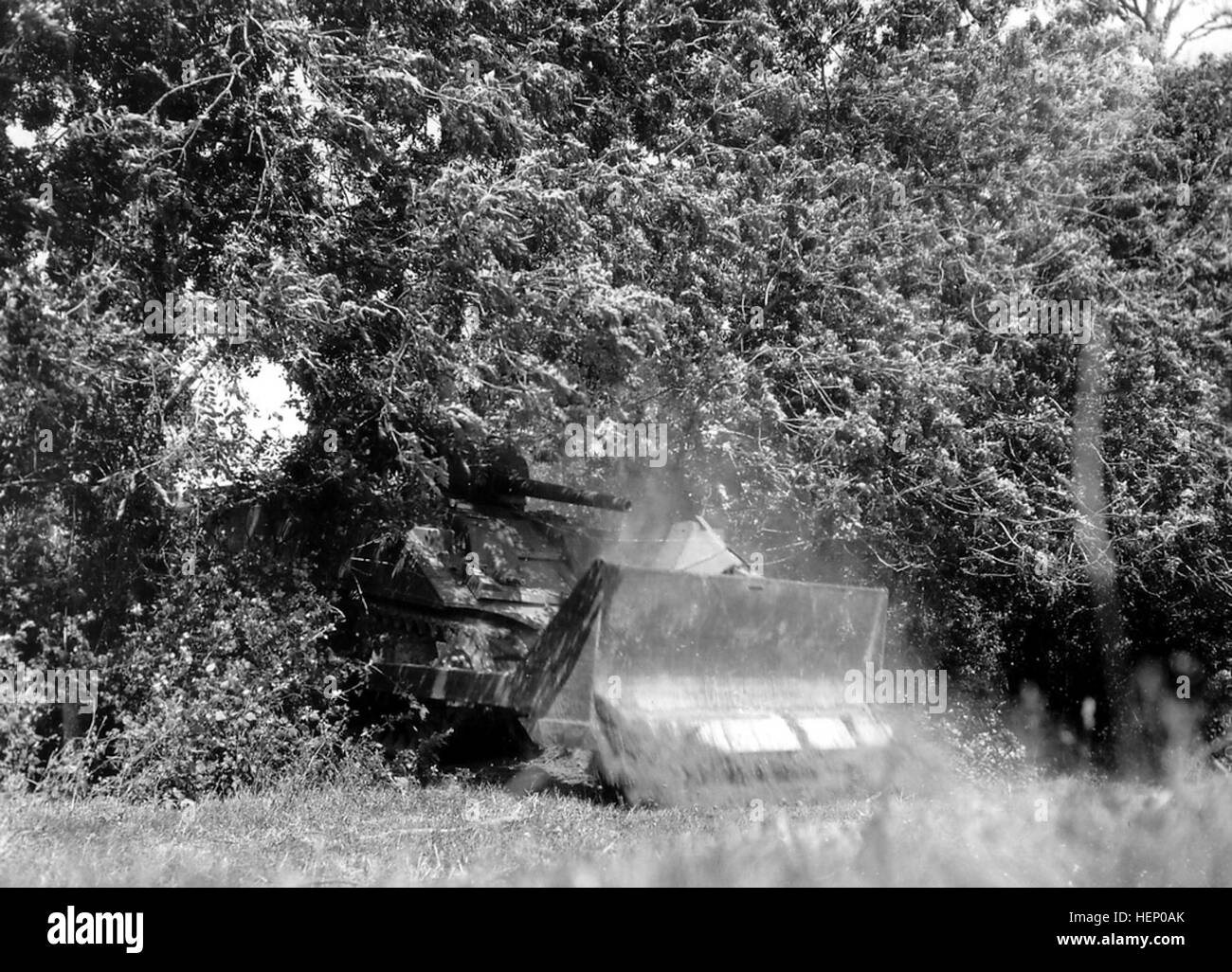 M4 Sherman Tank Mounted with M1 Bulldozer through hedge Stock Photo - Alamy