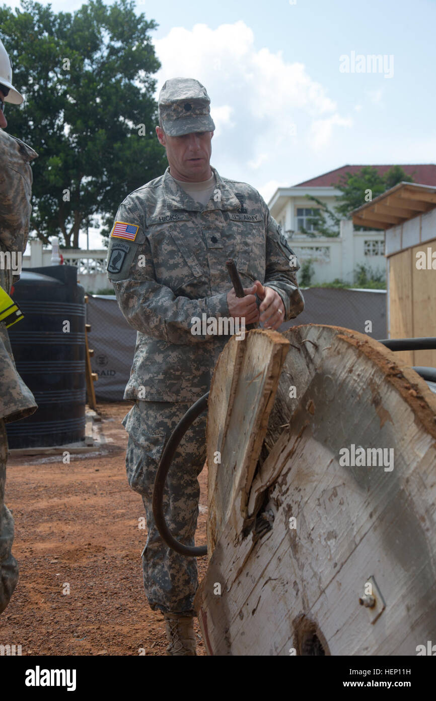 Lt. Col. Lee Hicks, Joint Forces Command – United Assistance command ...
