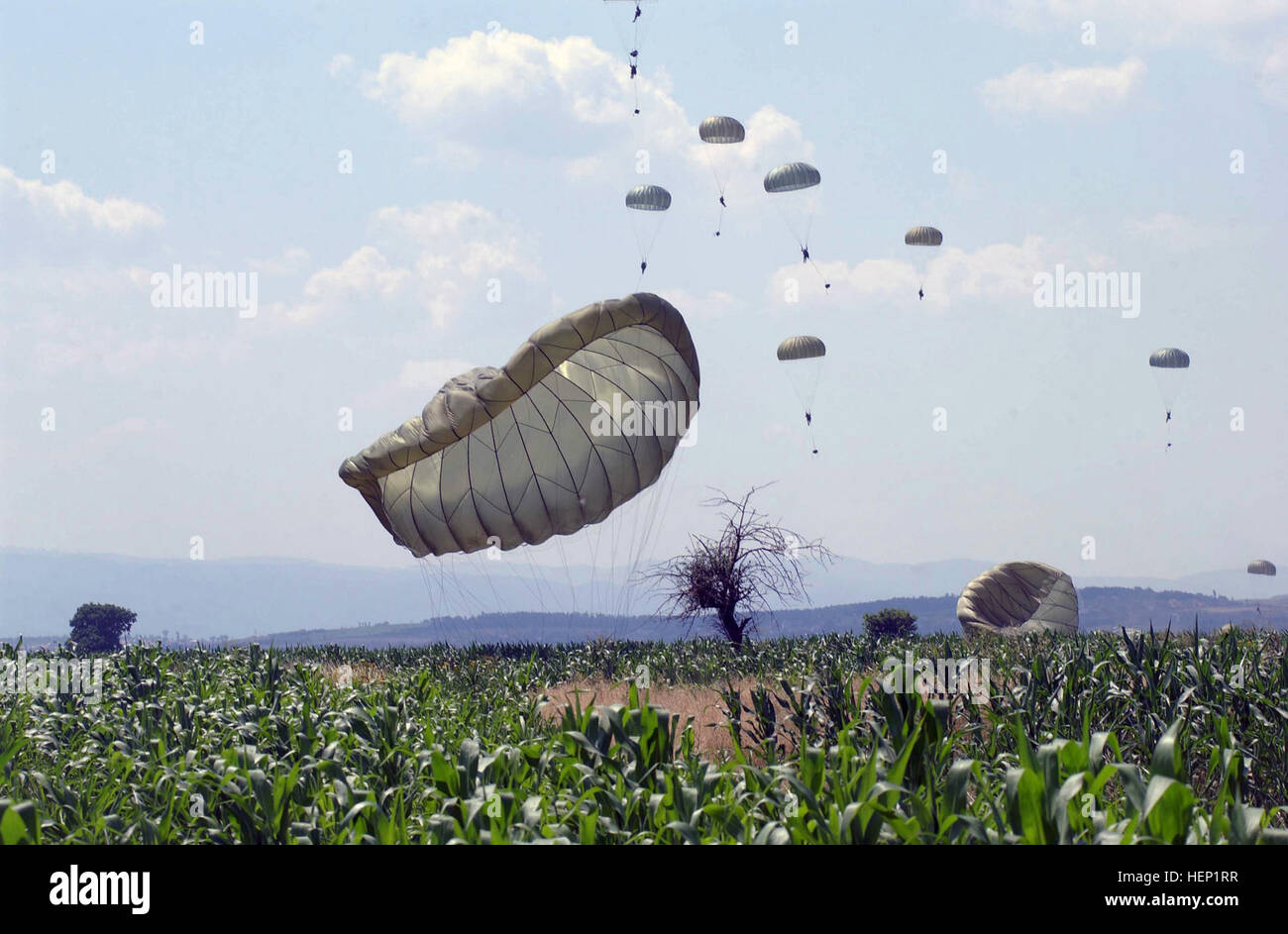 US Army (USA) paratroopers from 1st Battalion (BN), 508th Infantry (INF ...
