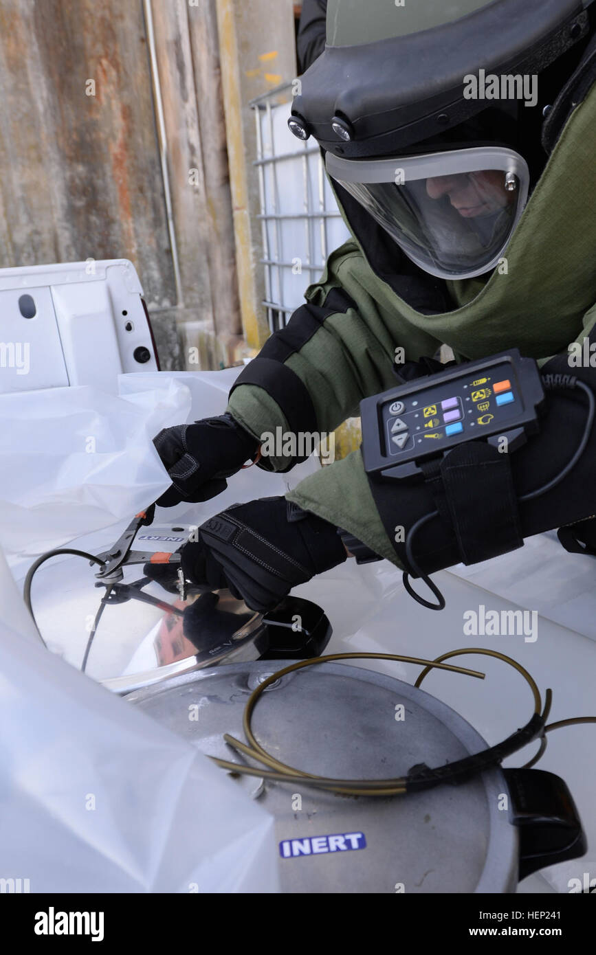 Soldiers from the 430th Explosive Ordnance Disposal Company train with ...