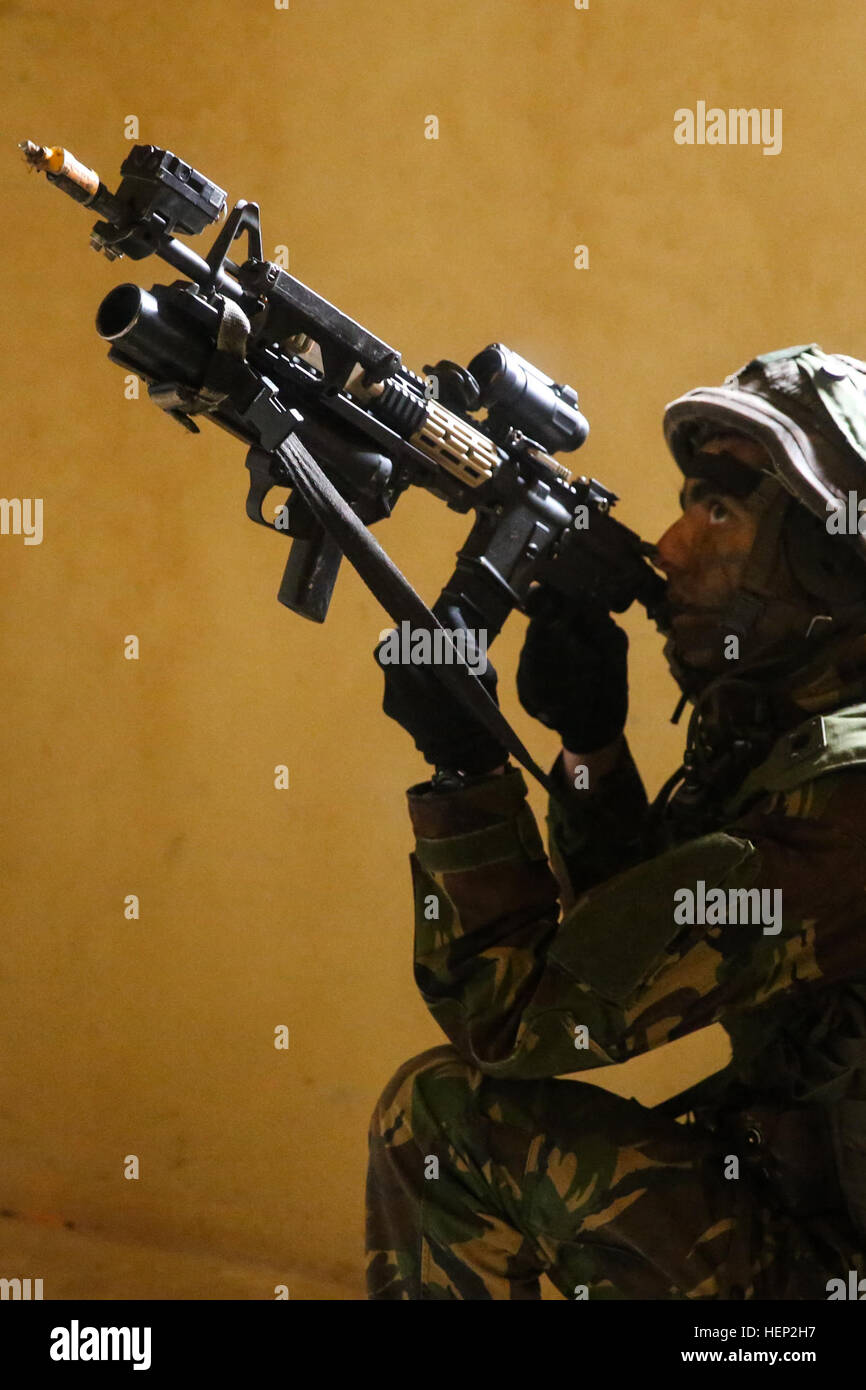 A Dutch soldier of Alpha Company, 42nd Infantry Battalion, 13th ...
