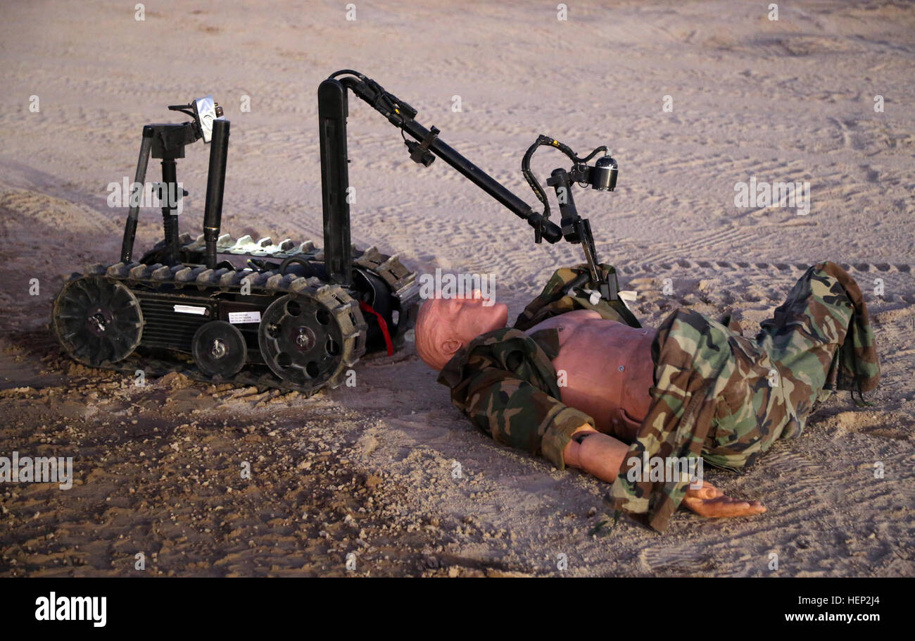 Soldiers from the 716th EOD Company operate a TALON robot to neutralize ...