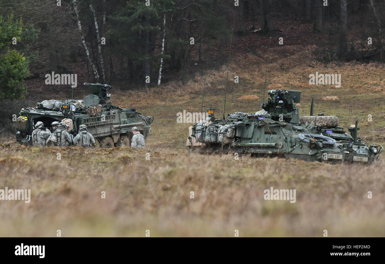Troopers from Palehorse Troop, 4th Squadron, 2nd Cavalry Regiment ...