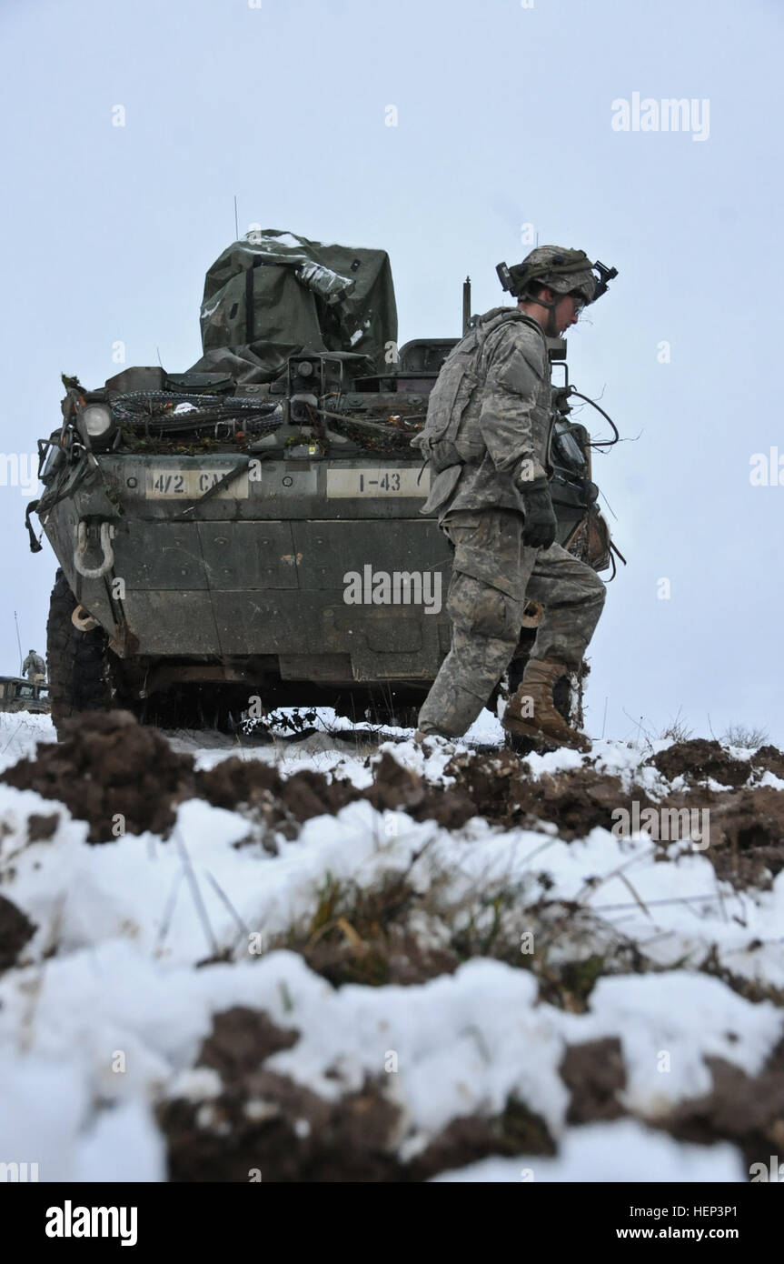 Dragoon troopers from Field Support Troop, 4th Squadron, 2nd Cavalry ...