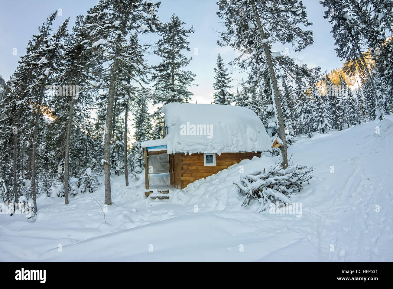 Cabin house chalets in winter forest with snow Stock Photo - Alamy