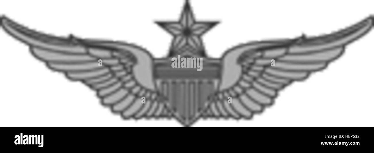 Senior Army Aviator Badge Stock Photo - Alamy