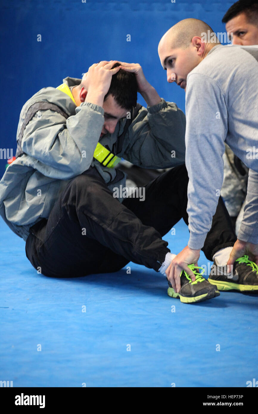 U.S. Army Spc. Brian Chaney of Viper Team, Joint Multinational ...