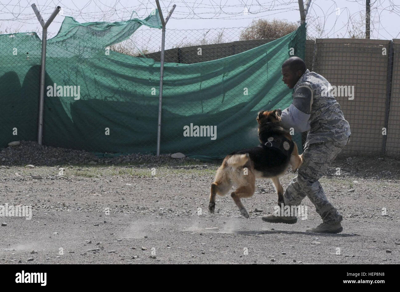 U.S. Air Force Senior Airman Erin Sims, a canine handler attached to ...
