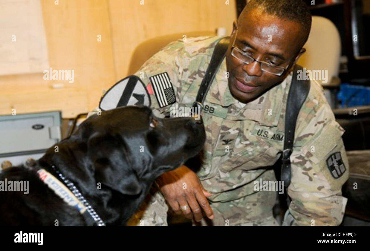 Col. David D. Rabb, commander 113th Combat Stress Control Unit, takes a ...