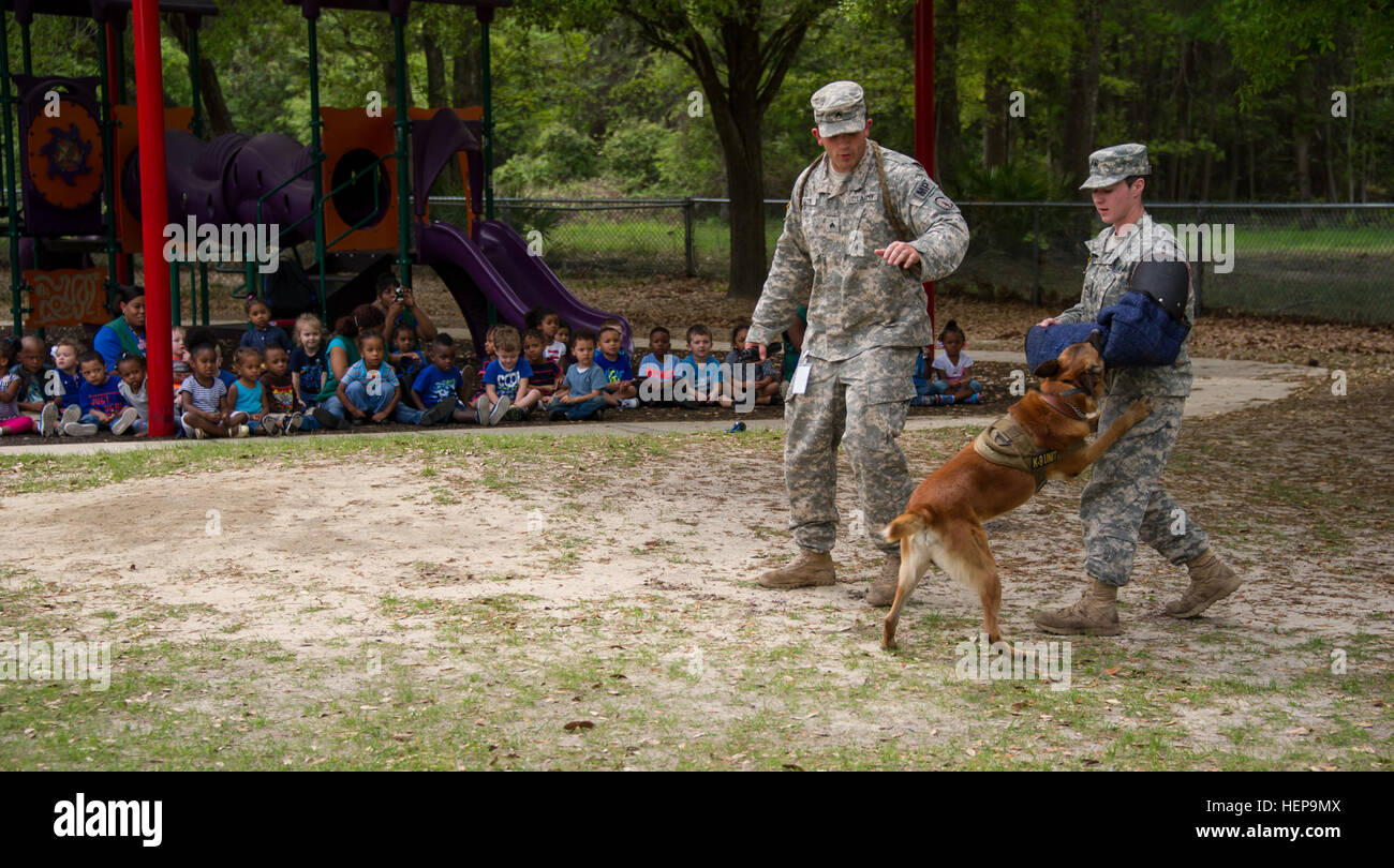 Bbently, a military working dog with the 93rd Military Working Dog ...