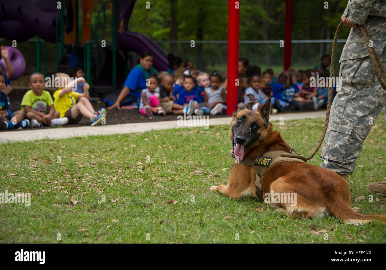 Military police k9 from hi-res stock photography and images - Alamy