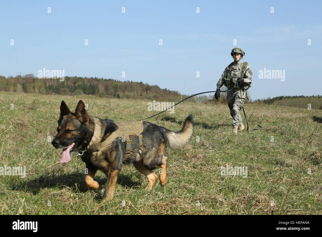 U.S. Army Sgt. Miranda Olejniczak and working dog Kajo of 615th ...