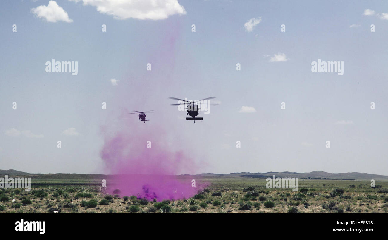Two UH-60 Black Hawk helicopter approach the helicopter landing zone in ...