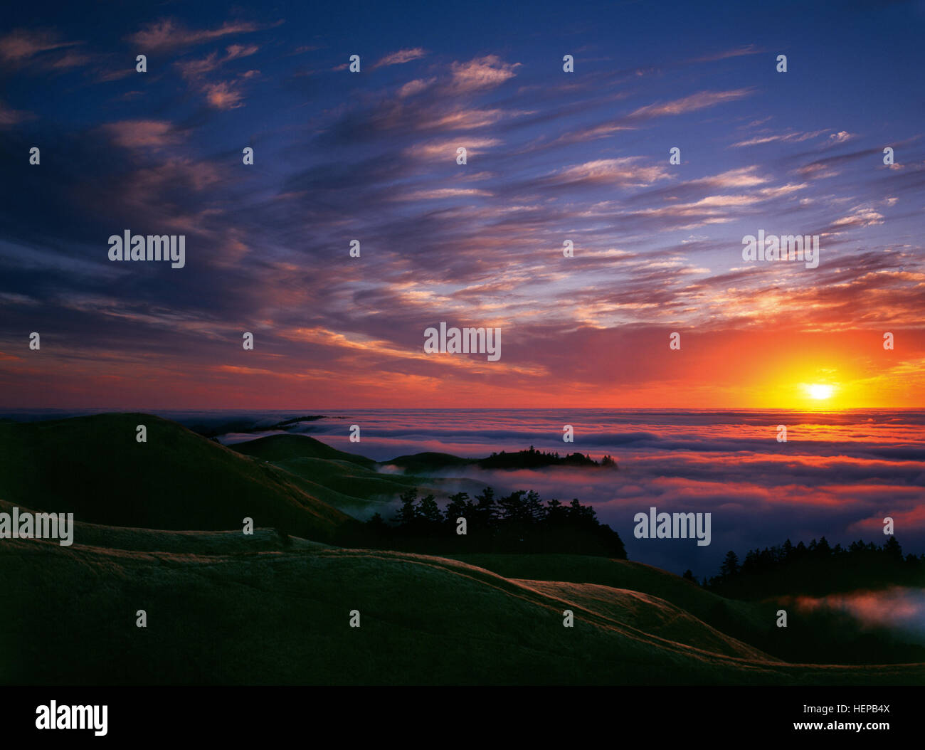 Bolinas Ridge, Calfiornia Stock Photo - Alamy