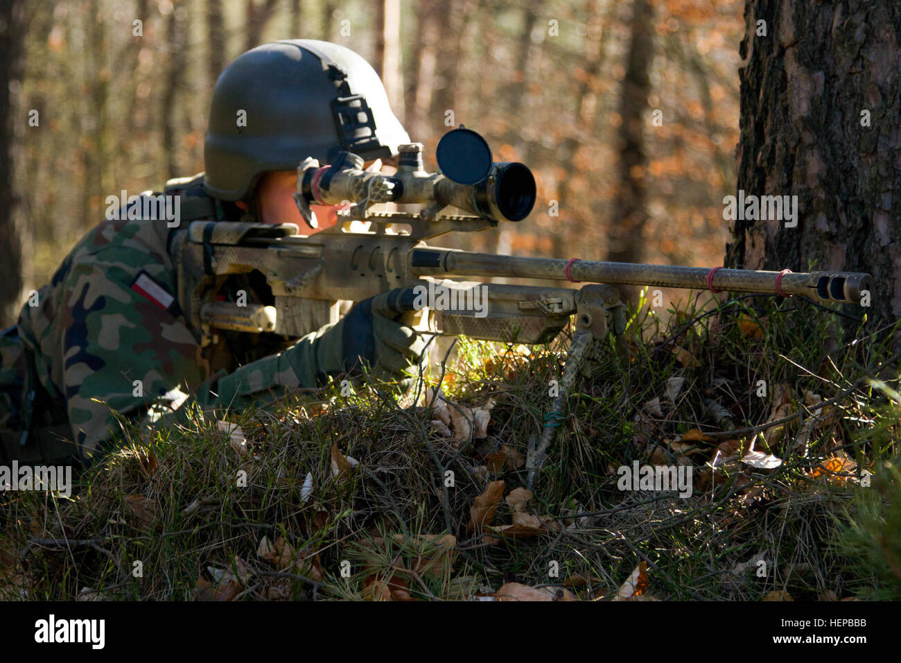 A Polish sniper working with U.S. cavalry scouts from Headquarters and ...