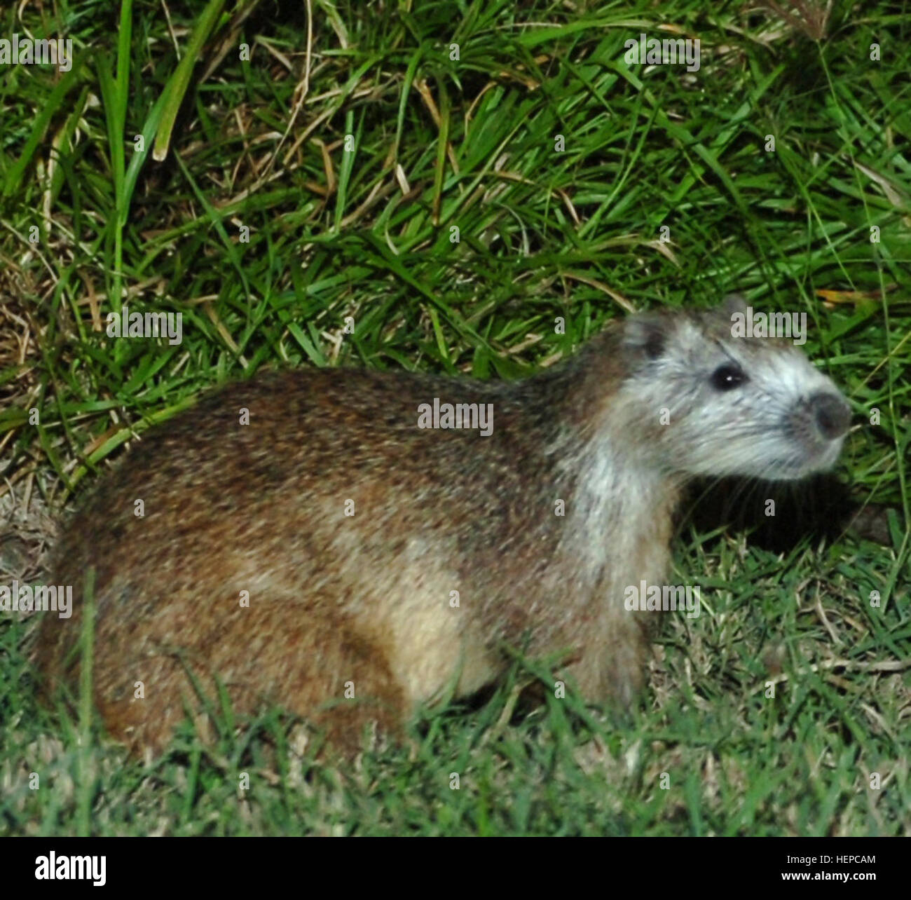Gauntanamo Bay High Resolution Stock Photography and Images - Alamy