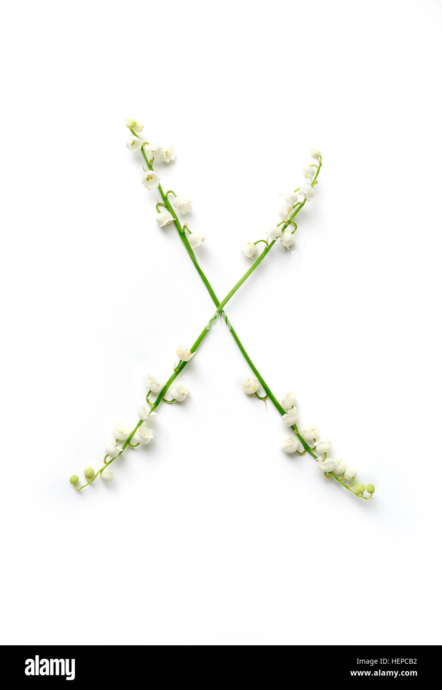 English letter X in the alphabet of flowers bells. Calligraphy ...