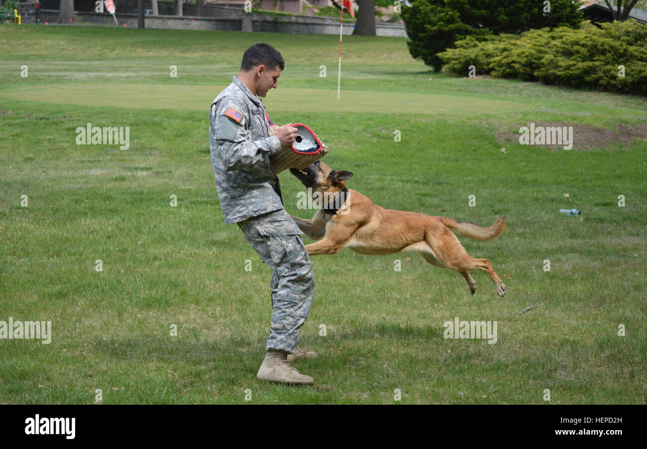 8th military working dog detachment hi-res stock photography and images ...