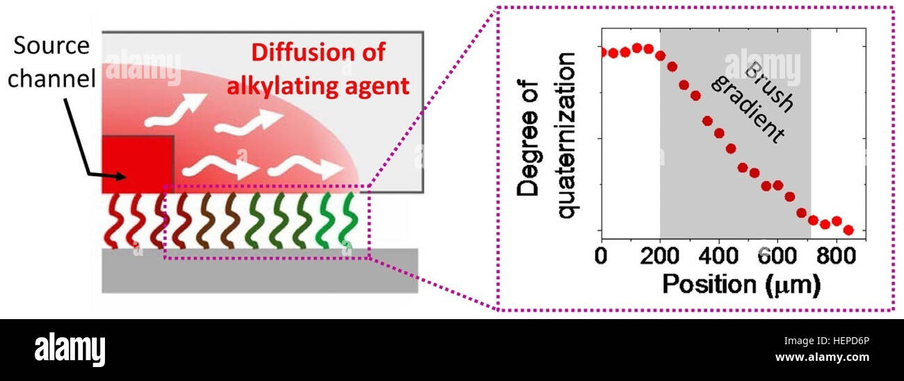 Via a general diffusion-based method we term 'Diffusion of Reactive ...