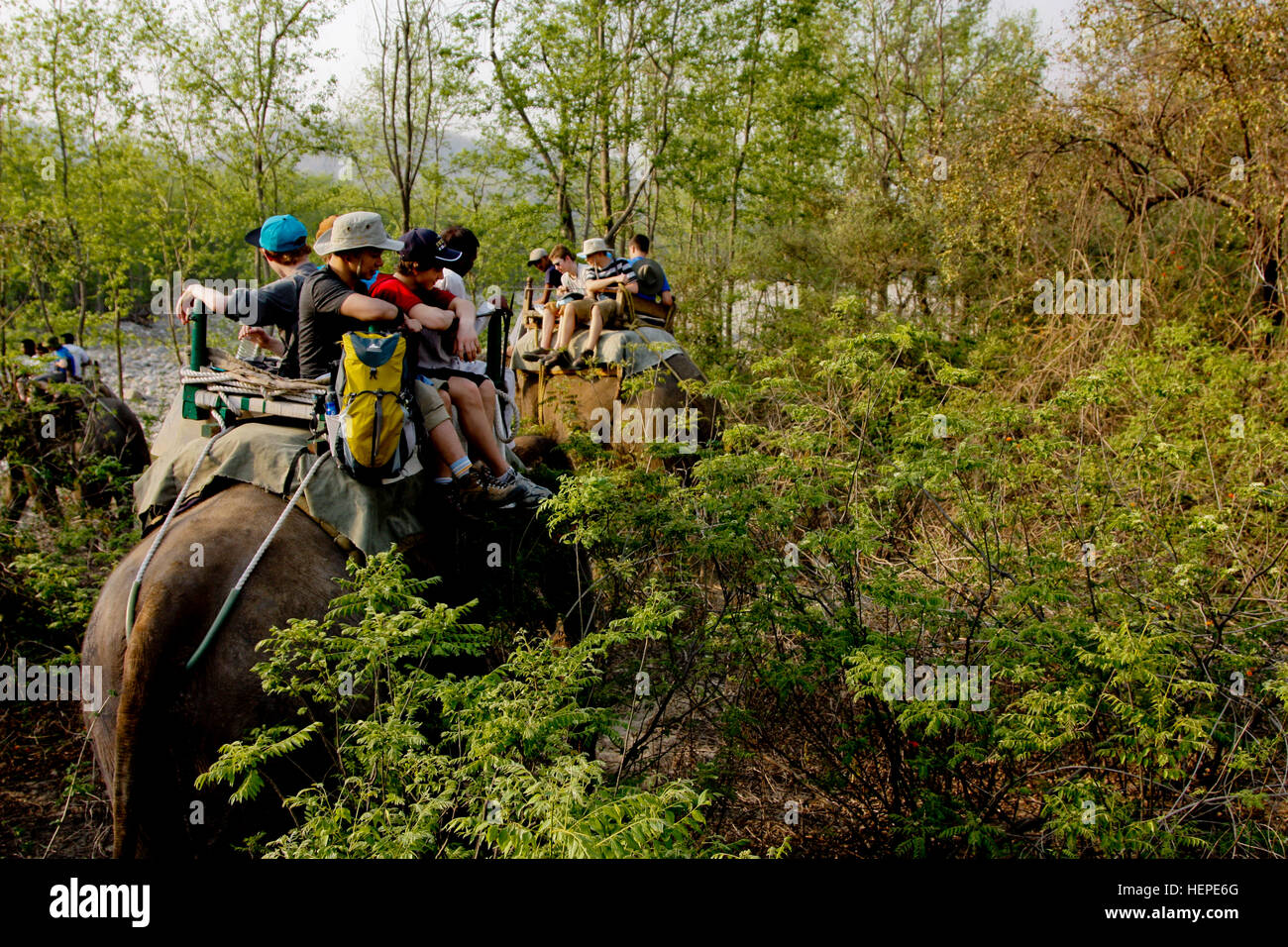 Wild Life Trekking in India Stock Photo - Alamy