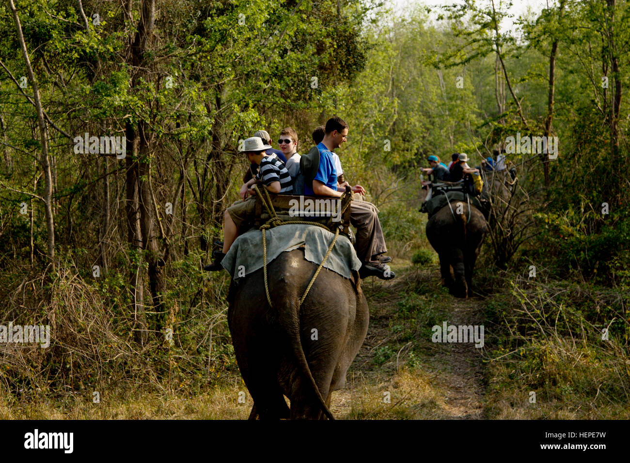 Wild Life Trekking in India Stock Photo - Alamy