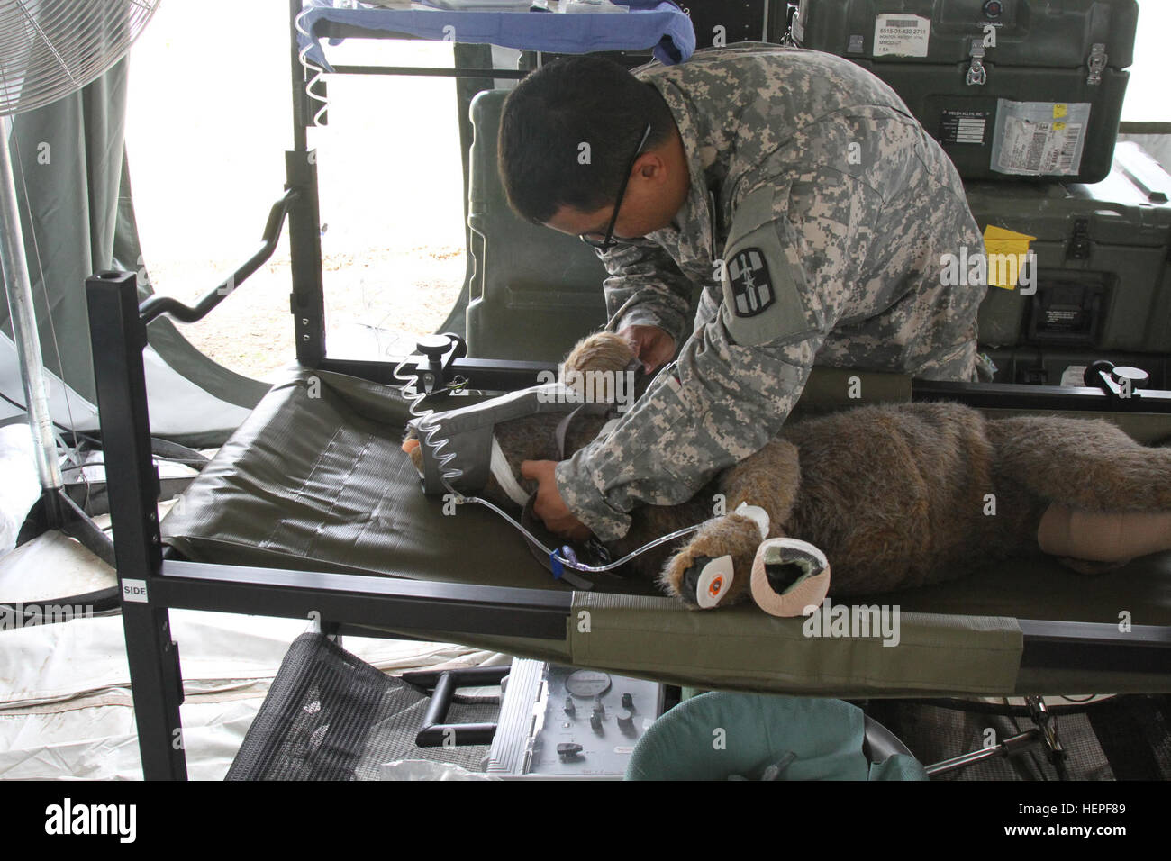 Army Reserve soldiers from the 994th Medical Detachment Veterinary ...